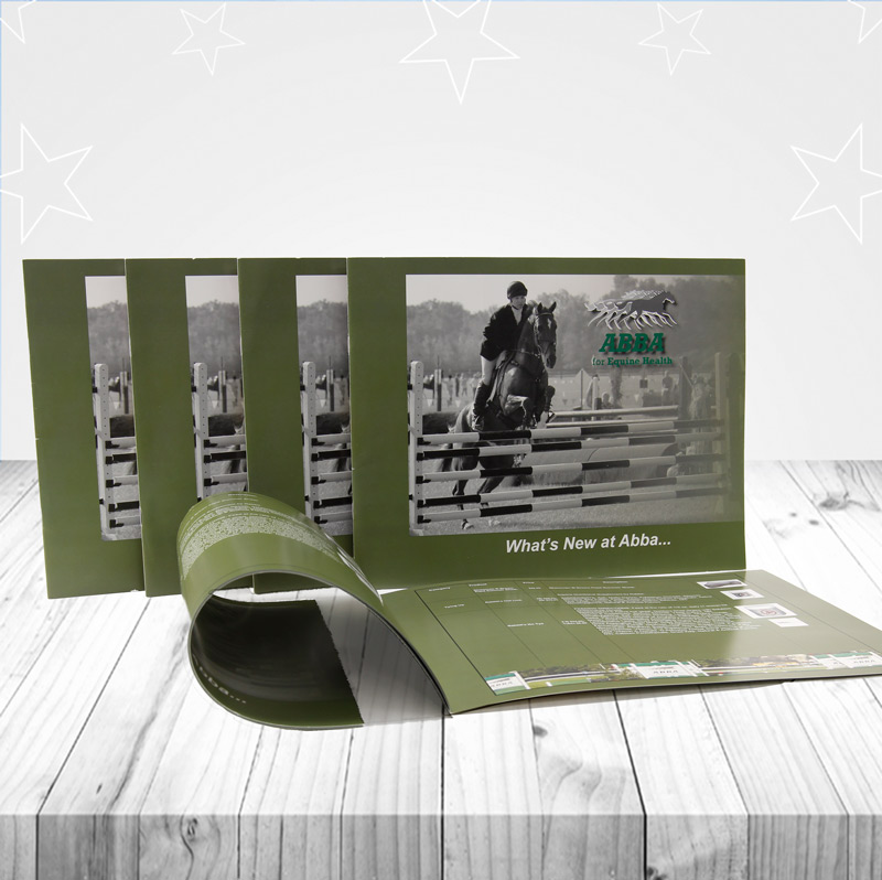 Landscape Booklets - Photo Books - Magazines -ColorCopiesUSA